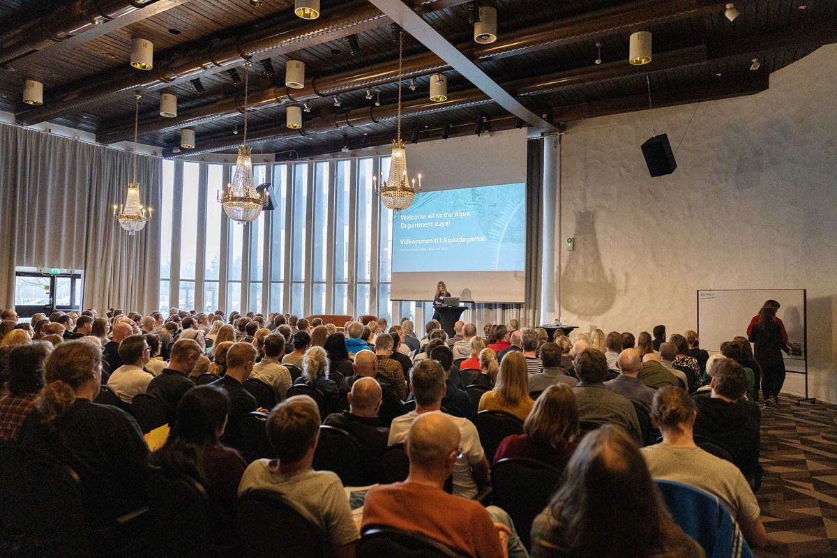 Evaluation of this year's Aqua Department days | Medarbetarwebben