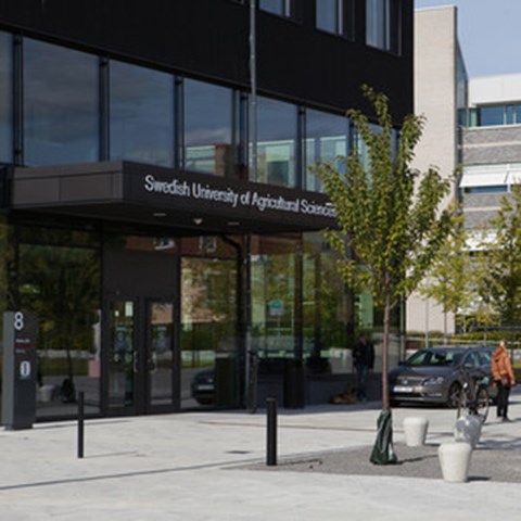 Öppet hus på SLU Uppsala, 2019 | Medarbetarwebben