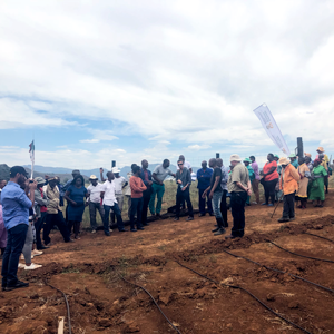 From research to the field – field demonstrations in Ethiopia and South ...