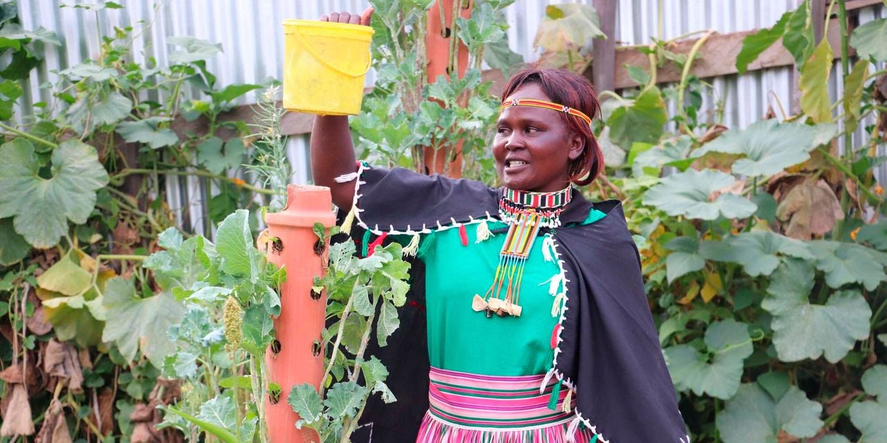Pipe project fights hunger in West Pokot as women embrace simple tech ...
