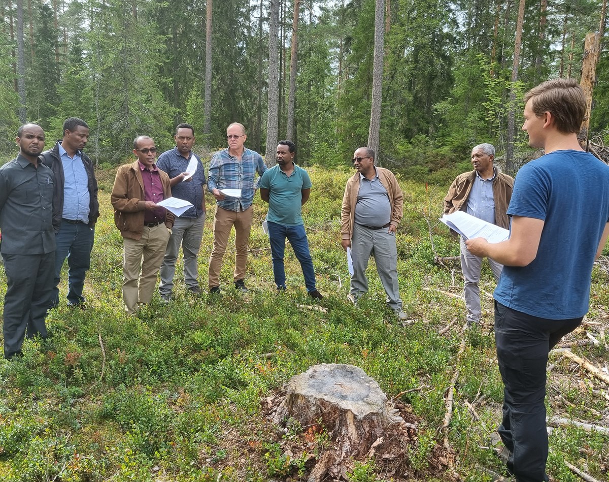 Ethiopia Forest Development at SLU for continuous collaboration ...