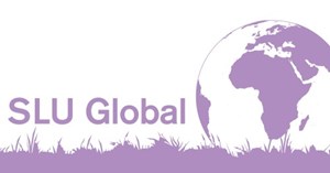 SLU Global is recruiting a head of unit | Medarbetarwebben