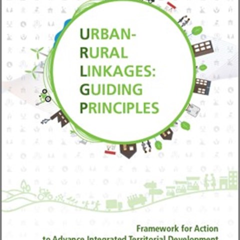 SLU contributes to UN-publication with guiding principles for urban ...