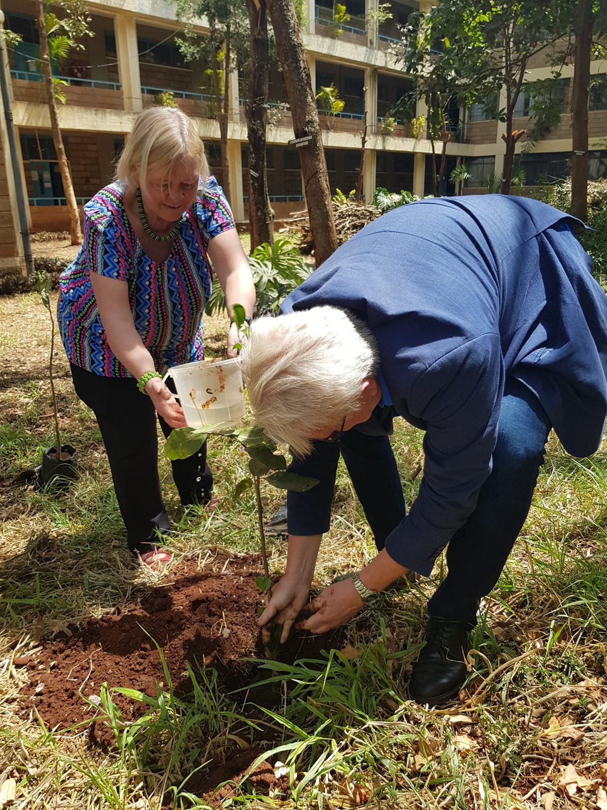 Celebrating with tree planting | Medarbetarwebben
