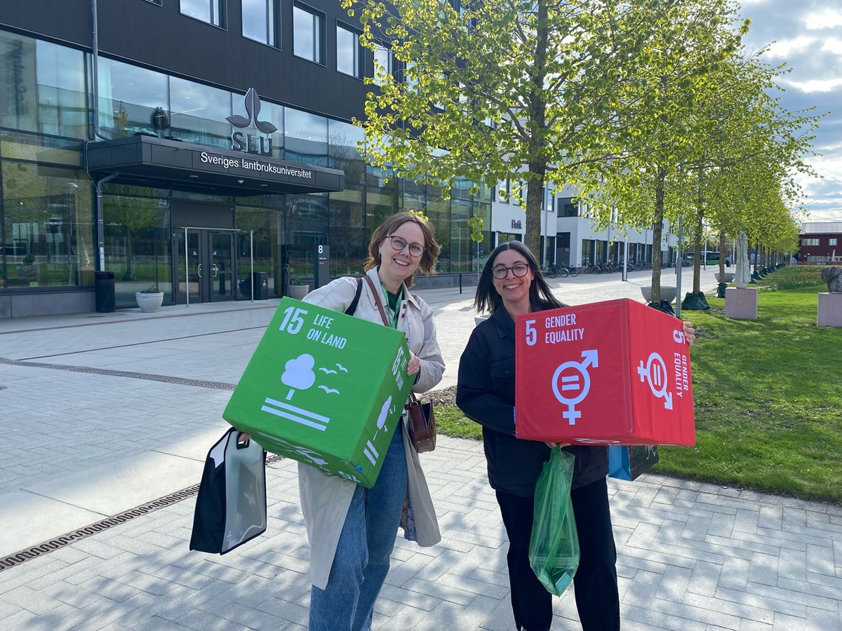 SLU Youth Institute hosts engaging week of learning and collaboration ...