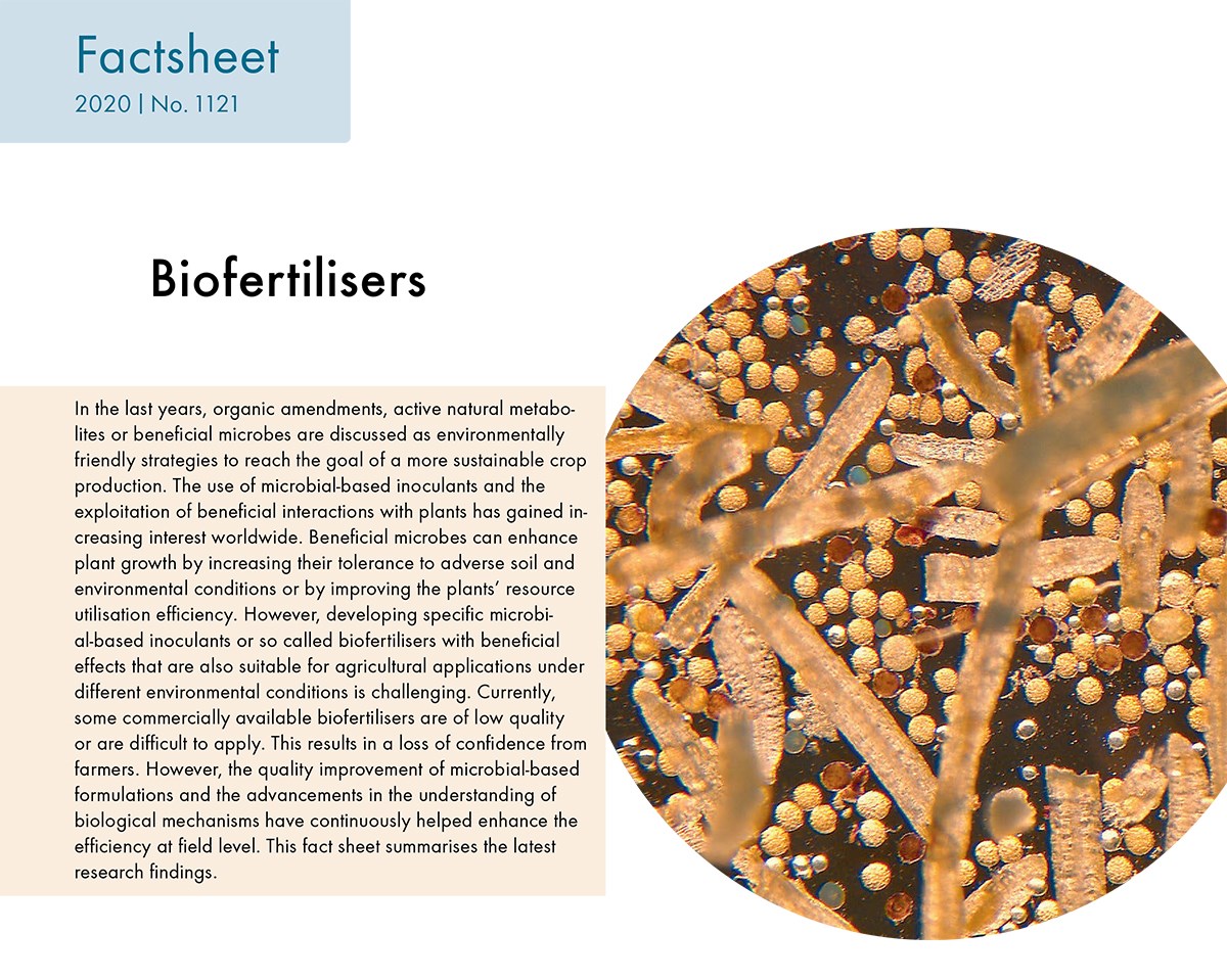 Nytt faktablad om biostimulanter | Medarbetarwebben