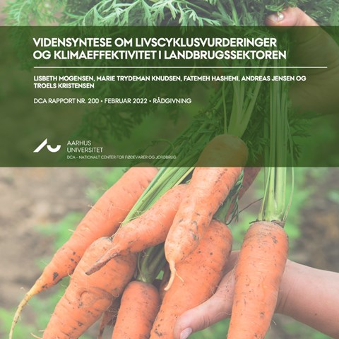 Dansk sammanställning om klimatpåverkan från livsmedel | Medarbetarwebben