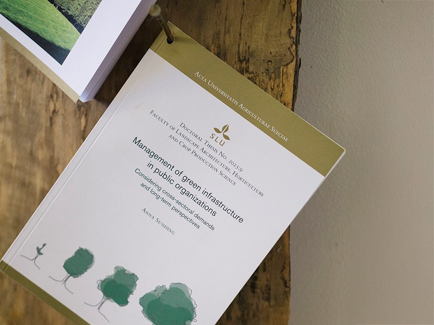 Anna Sunding spikade sin avhandling | Medarbetarwebben