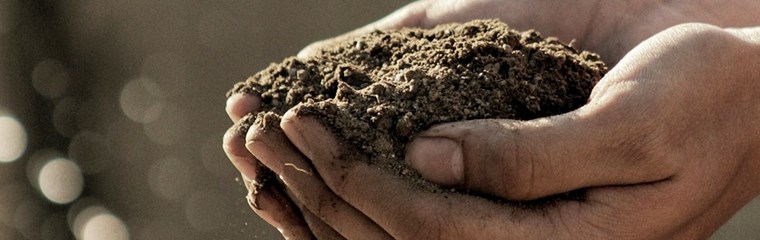 World Soil Day 2019 – ”Soils, Land Use and Climate Change ...