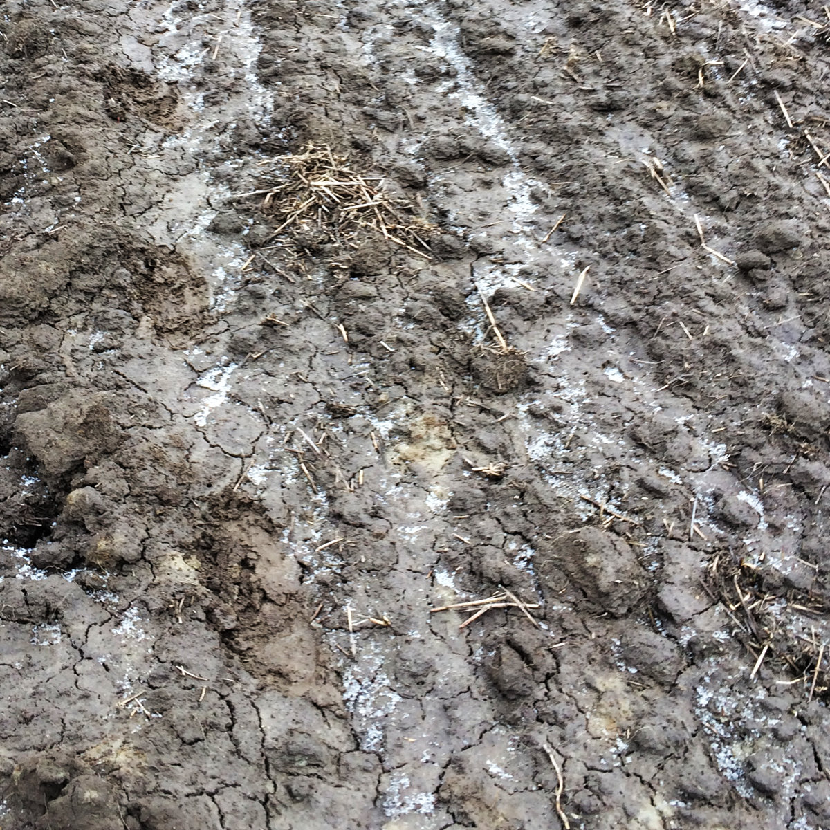 Soil is important to protect as agriculture moves northwards ...