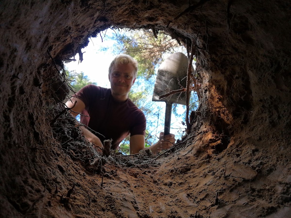 Knowledge unearthed: Variation in our forests controlled by moisture ...