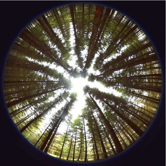 Ljus idé för att beräkna tillväxt | Medarbetarwebben