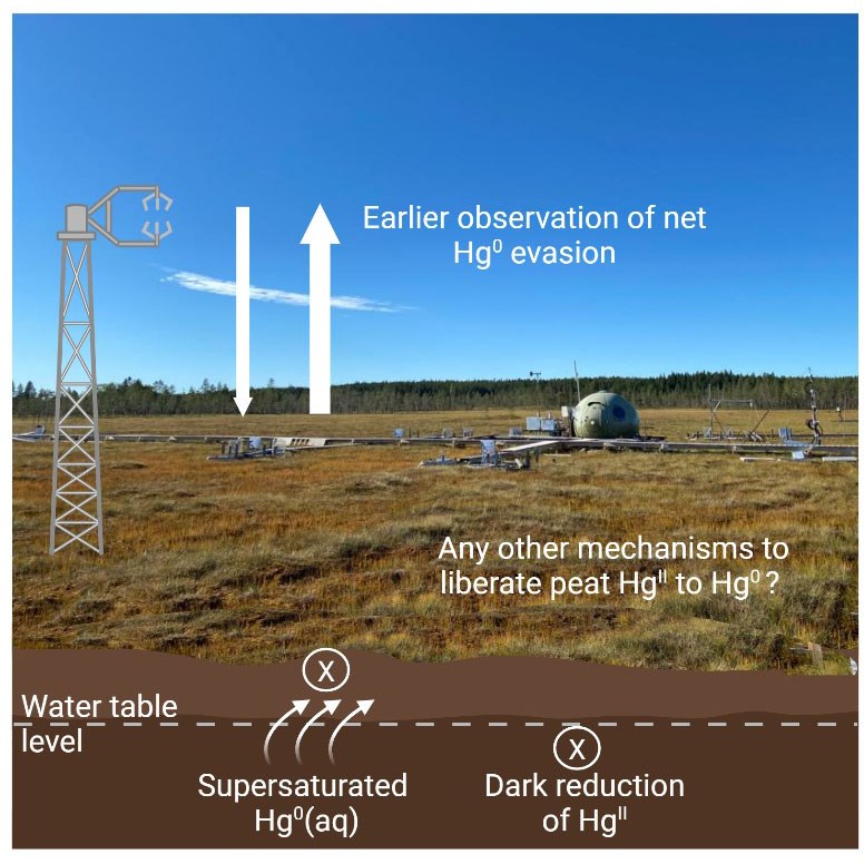 New insights into the legacy of mercury pollution in aquatic ecosystems ...