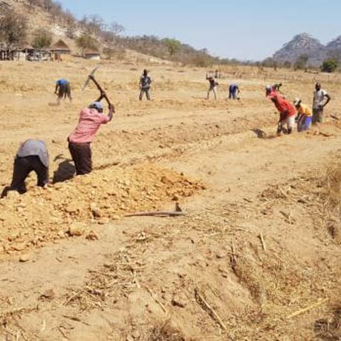 No soil left behind: How a cost-effective technology can enrich poor ...
