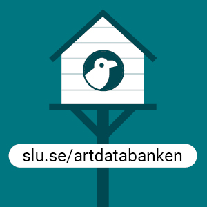 SLU Artdatabankens webbplats flyttar | Medarbetarwebben