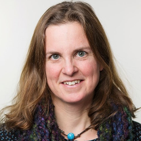 Professor Anke Fischer's inaugural lecture | Medarbetarwebben