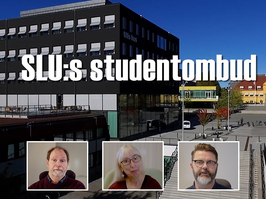 SLU Studentombud | Medarbetarwebben