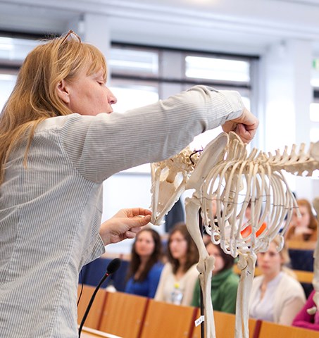 Pedagog på program | Medarbetarwebben