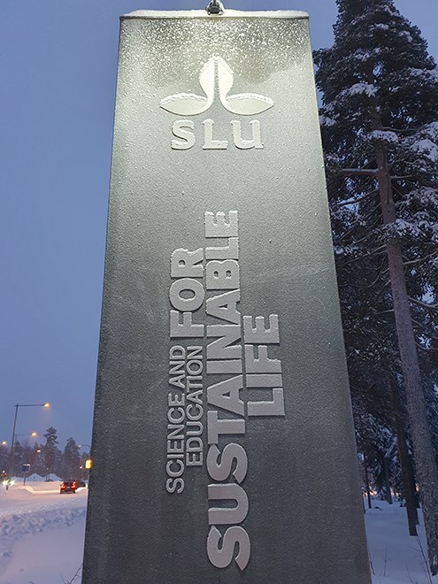 Tydligare skyltning markerar SLU:s huvudorter | Medarbetarwebben