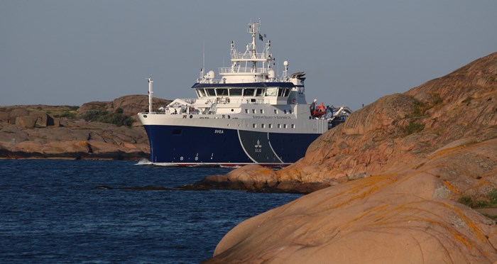 På jakt efter Svea | Medarbetarwebben