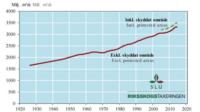 More trees and less forest floor vegetation according to new official ...