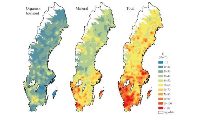 More trees and less forest floor vegetation according to new official ...