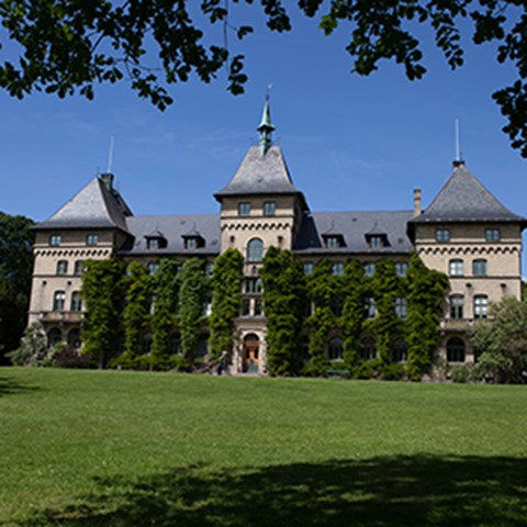 New professors’ lectures in Alnarp | Medarbetarwebben