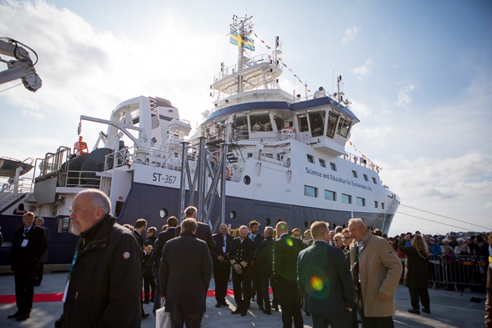 Svea has finally been given her name | Medarbetarwebben