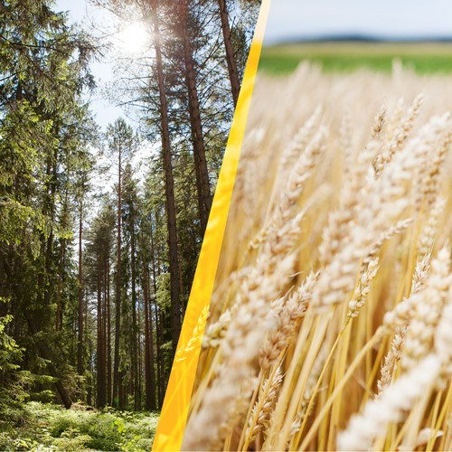 SLU Umeå and Sparbanksstiftelsen Norrland's Award for sustainable ...