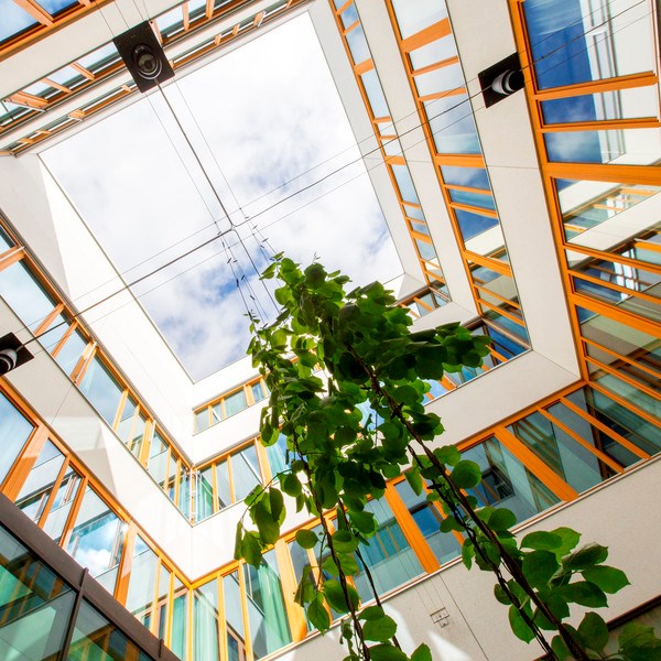 SLU to take on a leading role in Swedish universities’ climate efforts ...