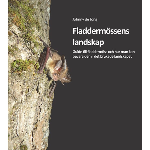 Ny bok om fladdermössen och deras landskap | Medarbetarwebben