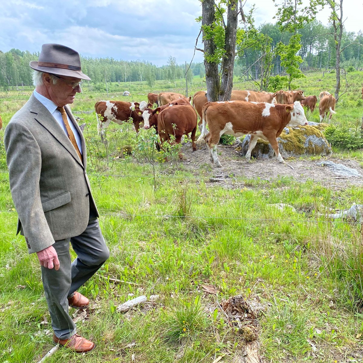 Stenhammardagen 2025 – Affärsmöjligheter och utmaningar utifrån ...